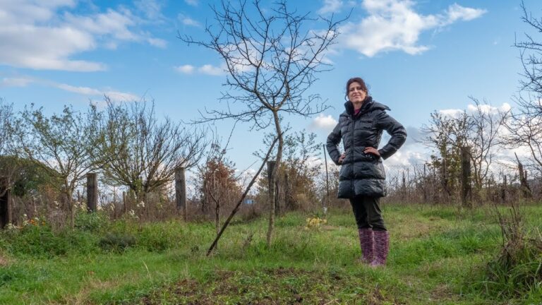 Nespola d'inverno: il frutto sorprendente che sfida le stagioni ...