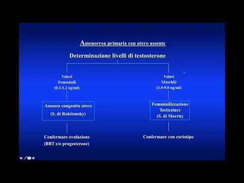 Menometrorragia: significato e cause | Actualizado diciembre 2025